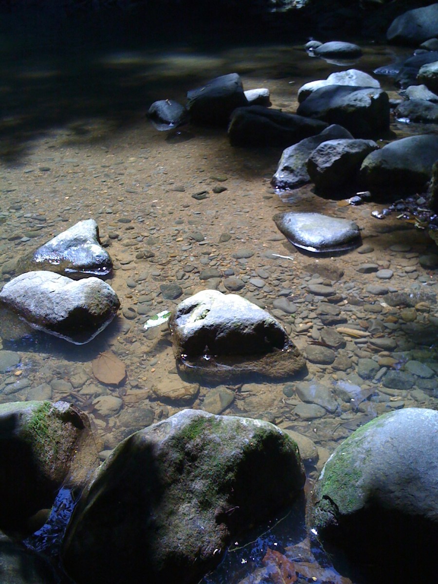 The River as Metaphor | Recovery river